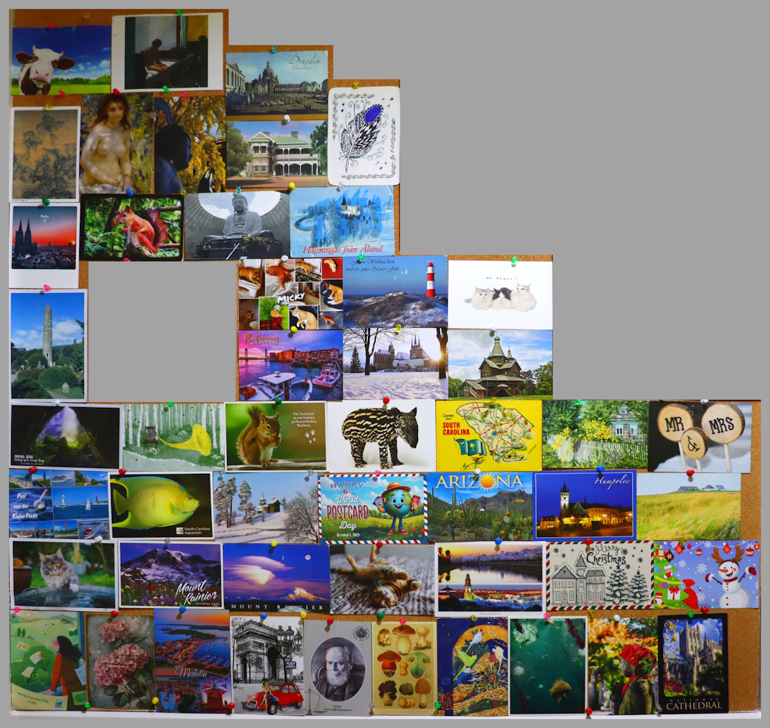 Unblogged December | Zen Mischief